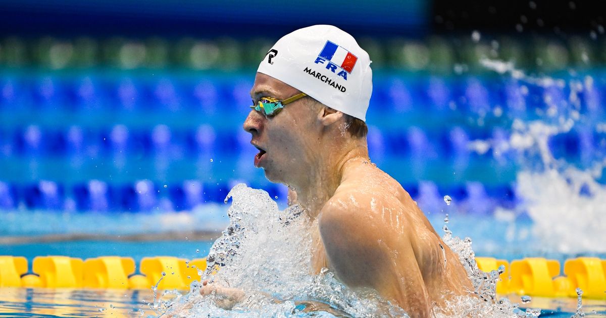 Championnats de France de natation 2024 : le programme complet