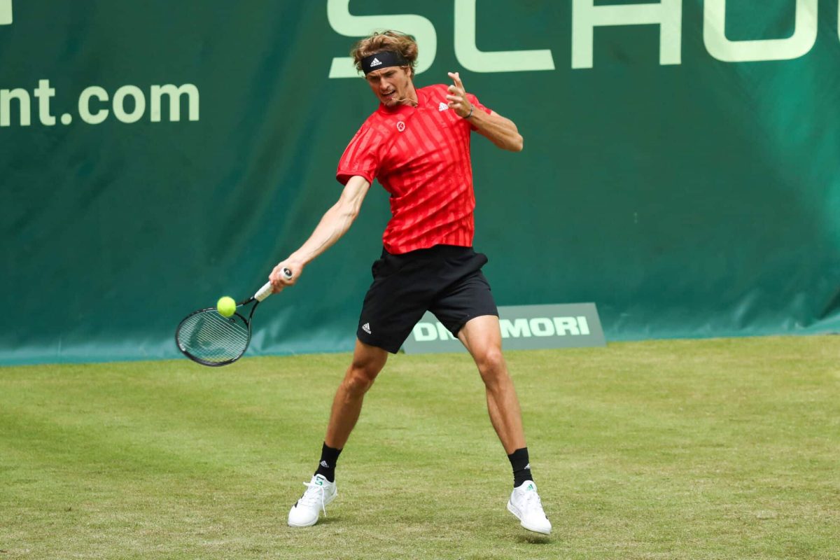 ATP 500 Halle : Le tableau complet du tournoi